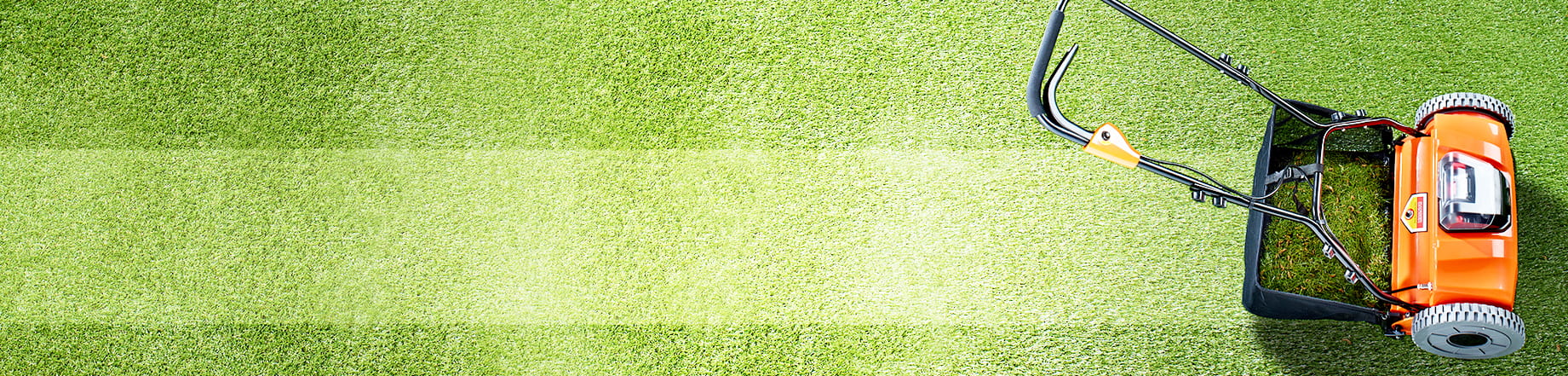 Weed Killer | Lawn Care | Garden Tools & Equipment | Garden & Outdoors ...