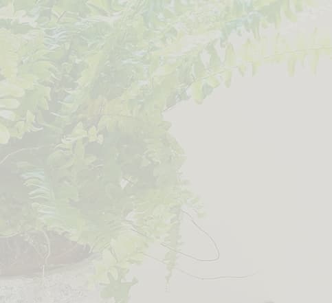 YouGarden | Garden & Outdoors | Coopers Of Stortford