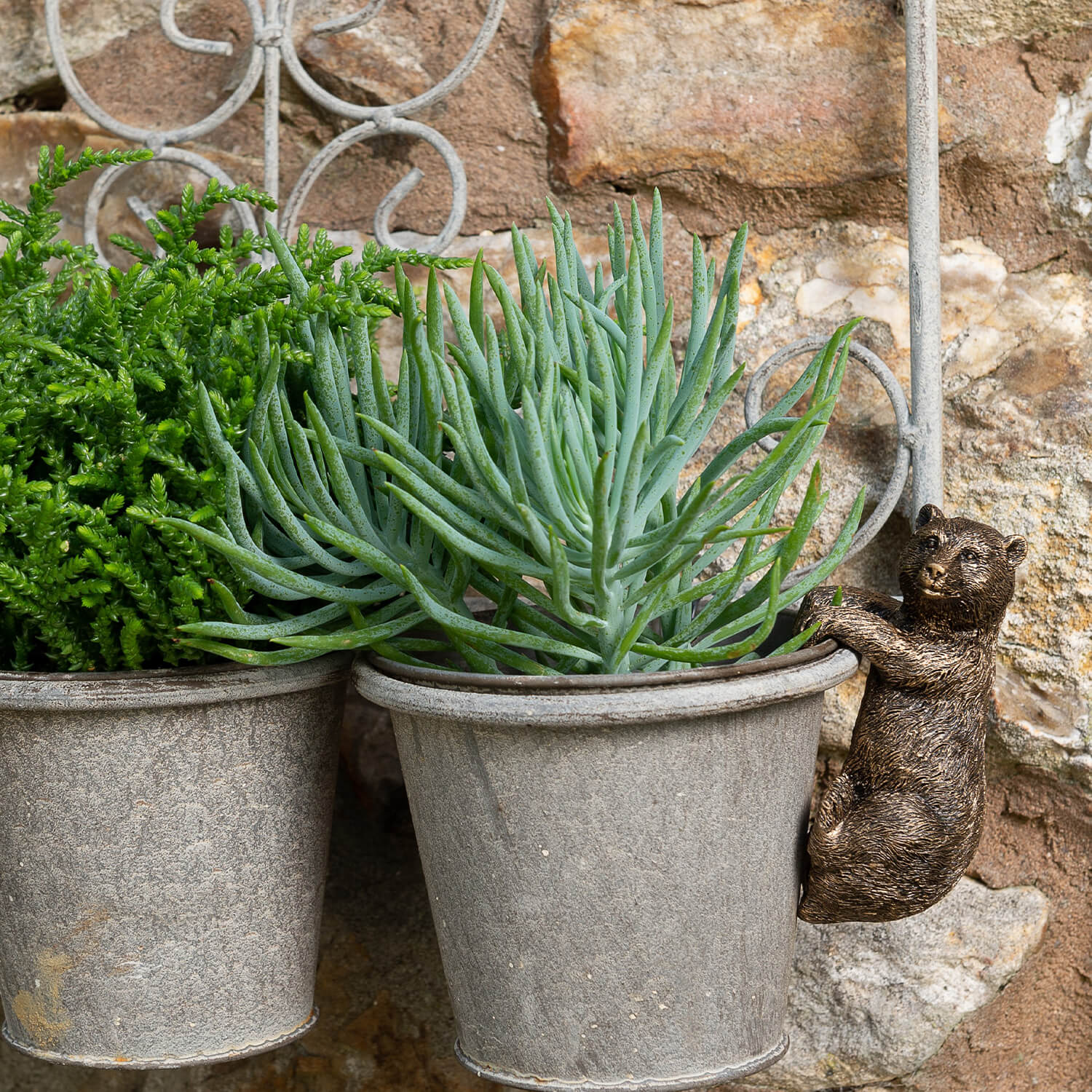Pot Buddies™ - Brown Bear | Coopers Of Stortford