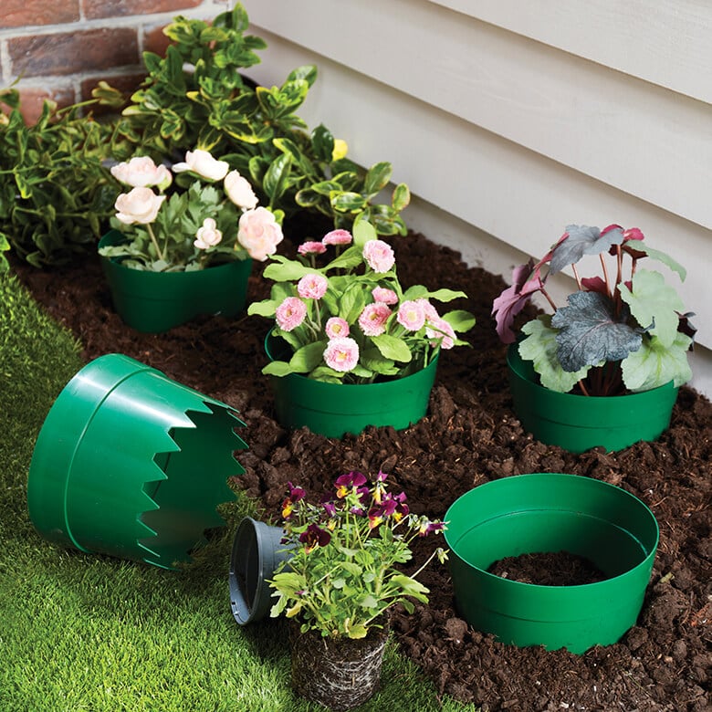 Set of 5 Watering Rings | Coopers Of Stortford