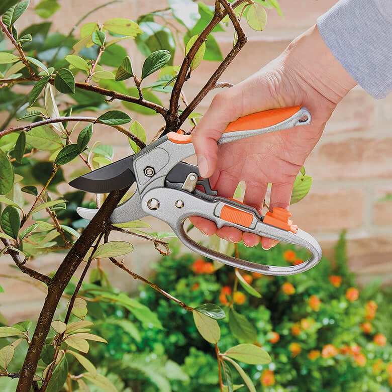 Ratchet garden pruning shears store
