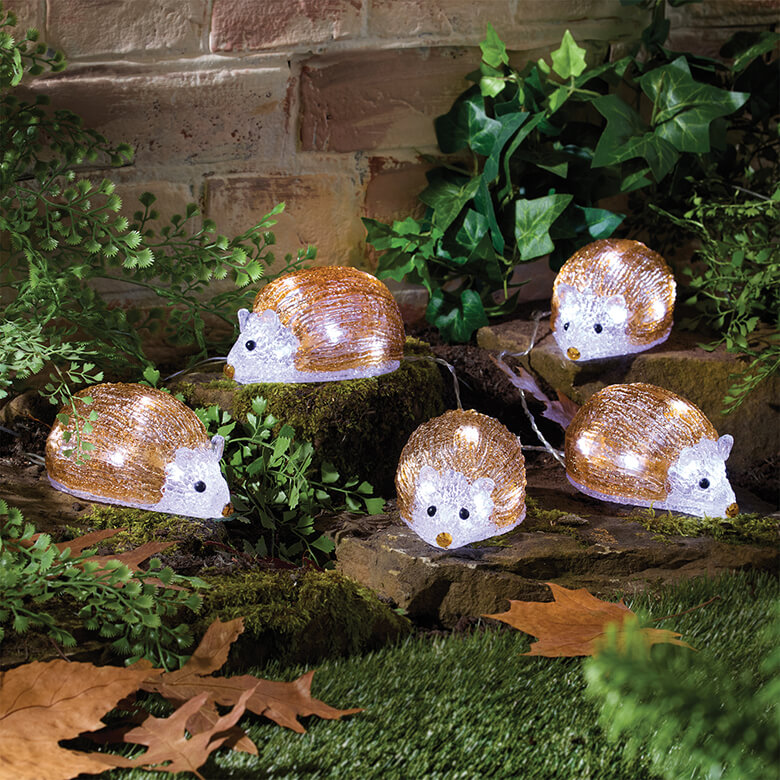 Hedgehog Led Garden Light