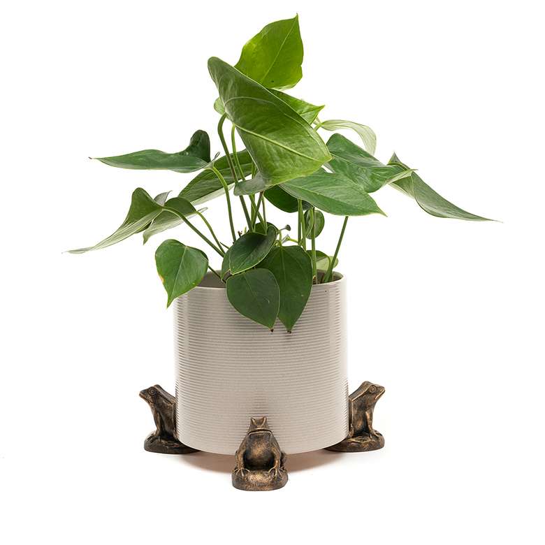 Potty Feet™ - Stag | Coopers Of Stortford