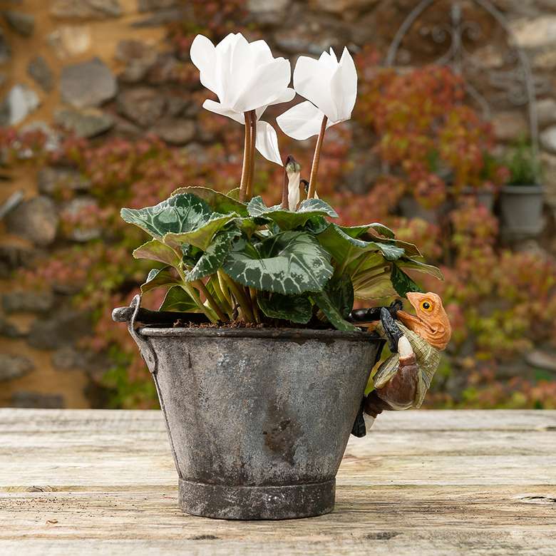 Pot Buddies™ - Ratty | Jardinopia | Coopers Of Stortford