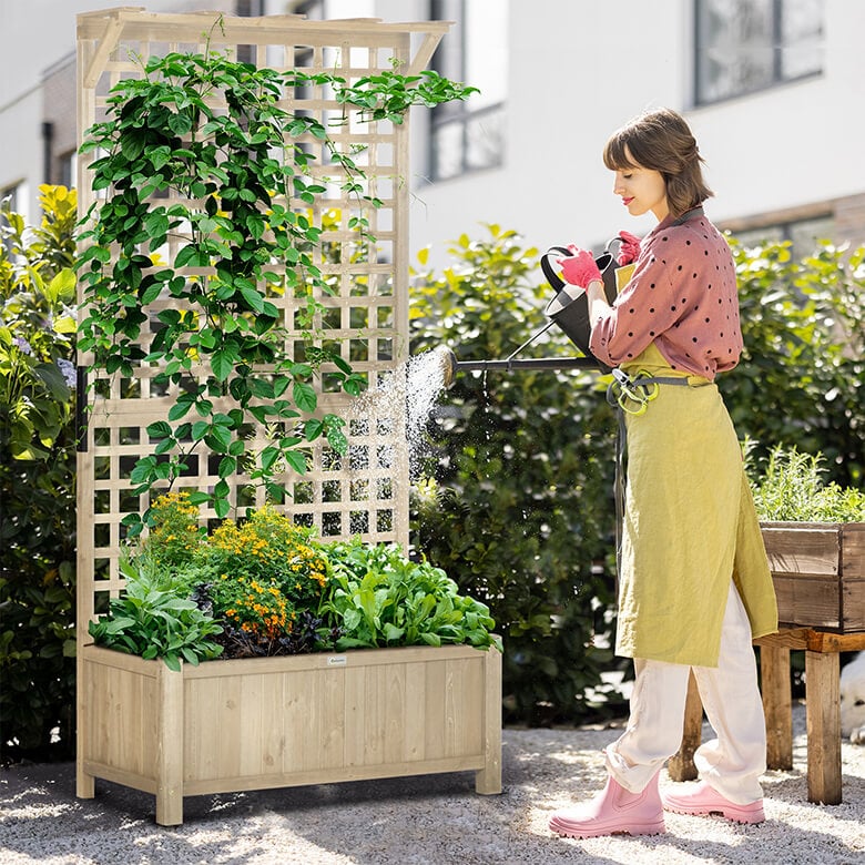 Plants For Planters Made From Wood