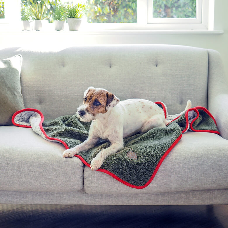 Feathered Friends Dog Comforter | Coopers Of Stortford