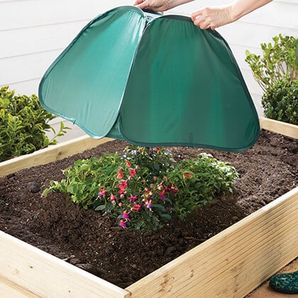 Planting & Growing | Garden & Outdoors: Up to 50% off | Sale | Coopers ...