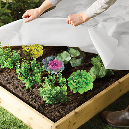 Planting & Growing Products | Coopers of Stortford