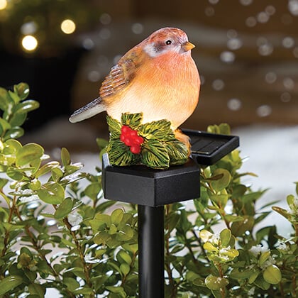 Christmas Shop | Coopers Of Stortford