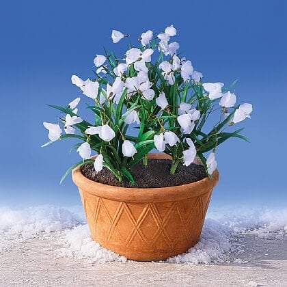 Artificial Plants & Flowers | Garden & Outdoors: Up to 50% off | Sale ...