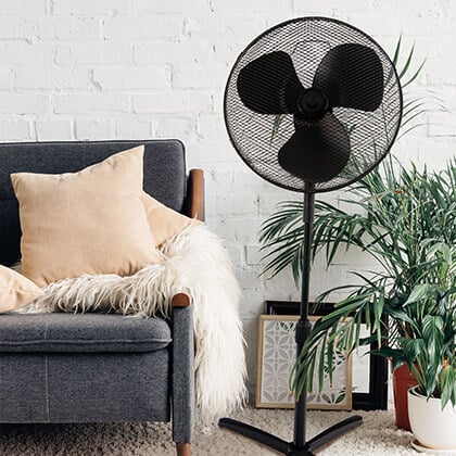 Pedestal Fans | Cooling | Home & Furniture | Coopers Of Stortford