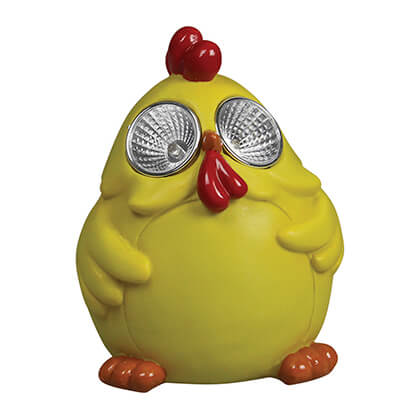 LED Lighting | Lighting | Home & Furniture | Coopers Of Stortford