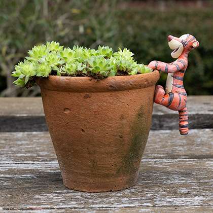 Decorative Gardening Products | Coopers of Stortford