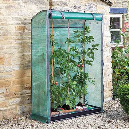 Greenhouses | Planting & Growing | Garden & Outdoors | Coopers Of Stortford
